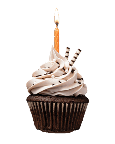 Bulk Commercial Allulose – Pyure